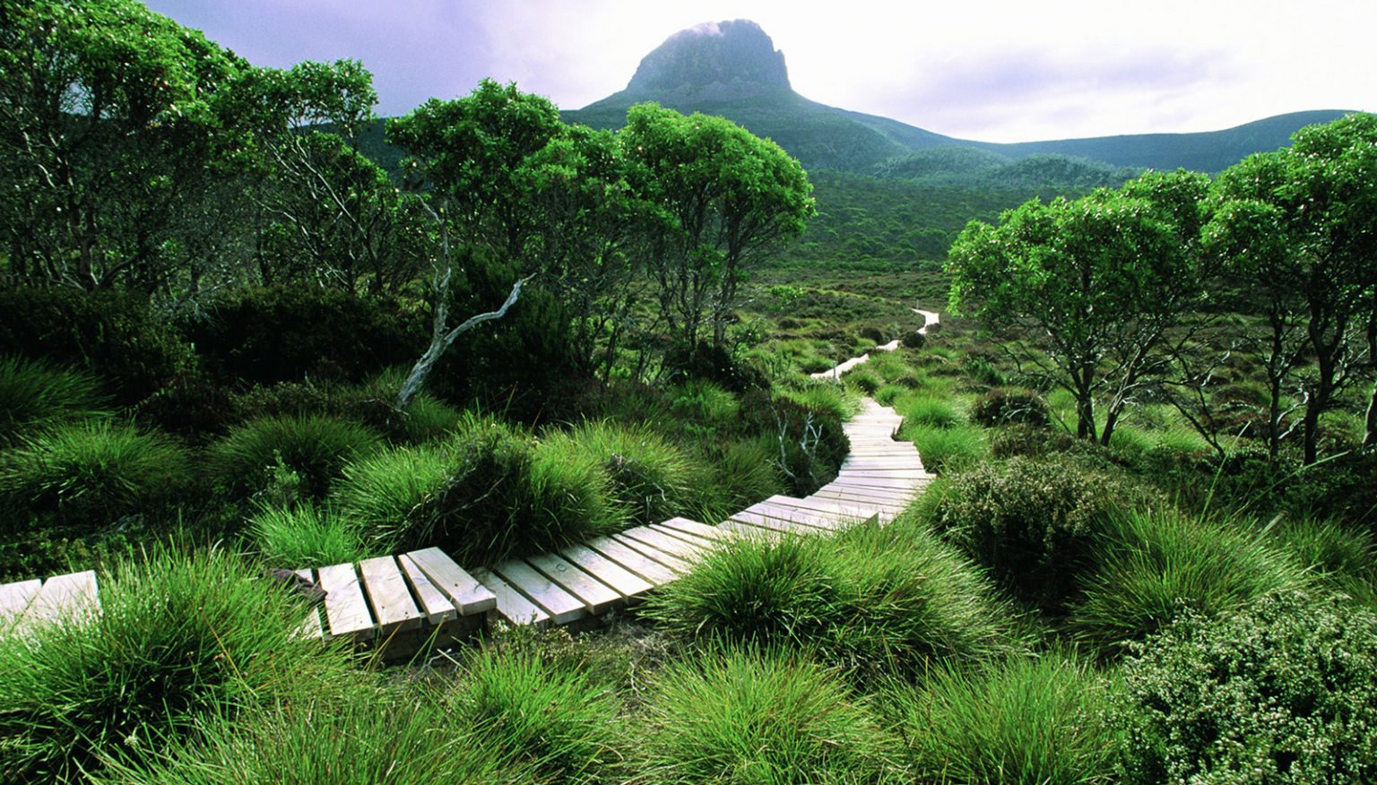 Australia Vacations & Luxury Travel | Southern Crossings